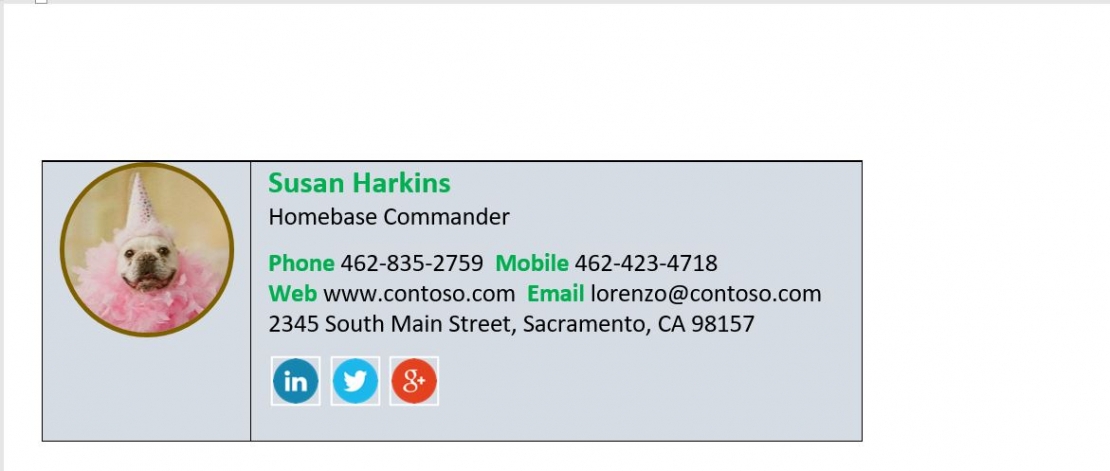 How to create a professional signature in Microsoft Word for Outlook ...