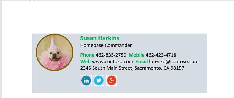 How to create a professional signature in Microsoft Word for Outlook ...