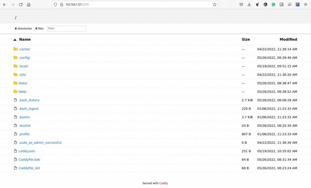 How to deploy a single web page to the Caddy server from a Caddyfile ...