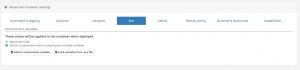 How to add environment variables to a container with Portainer ...
