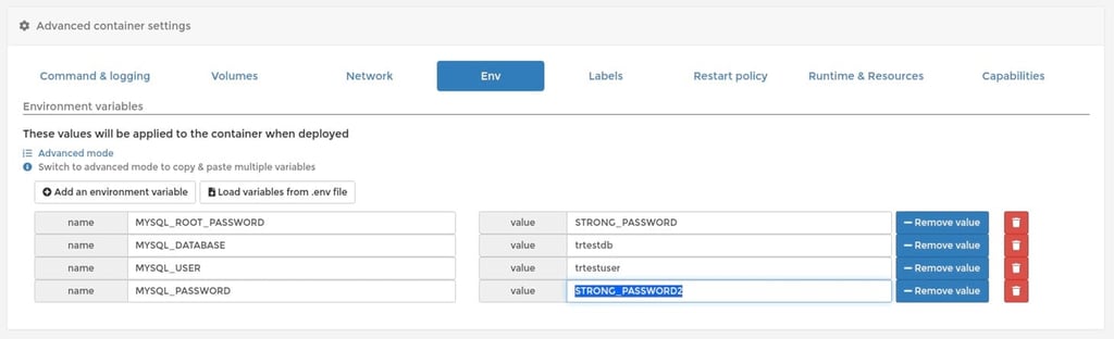 How to add environment variables to a container with Portainer ...