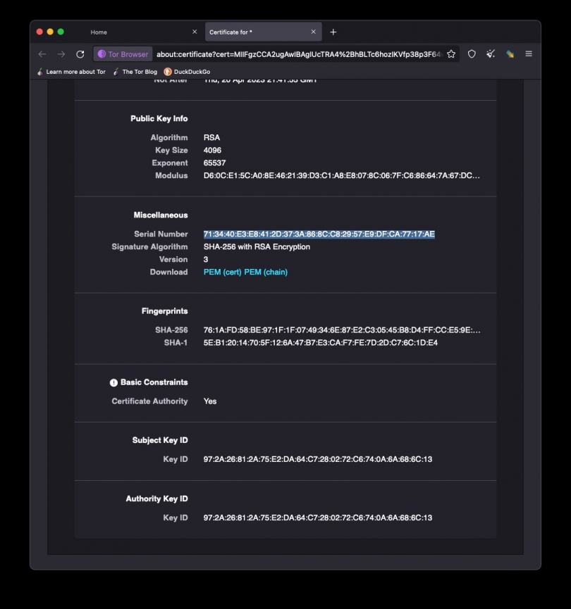 How to de-anonymize fraudulent Tor web servers - TechRepublic