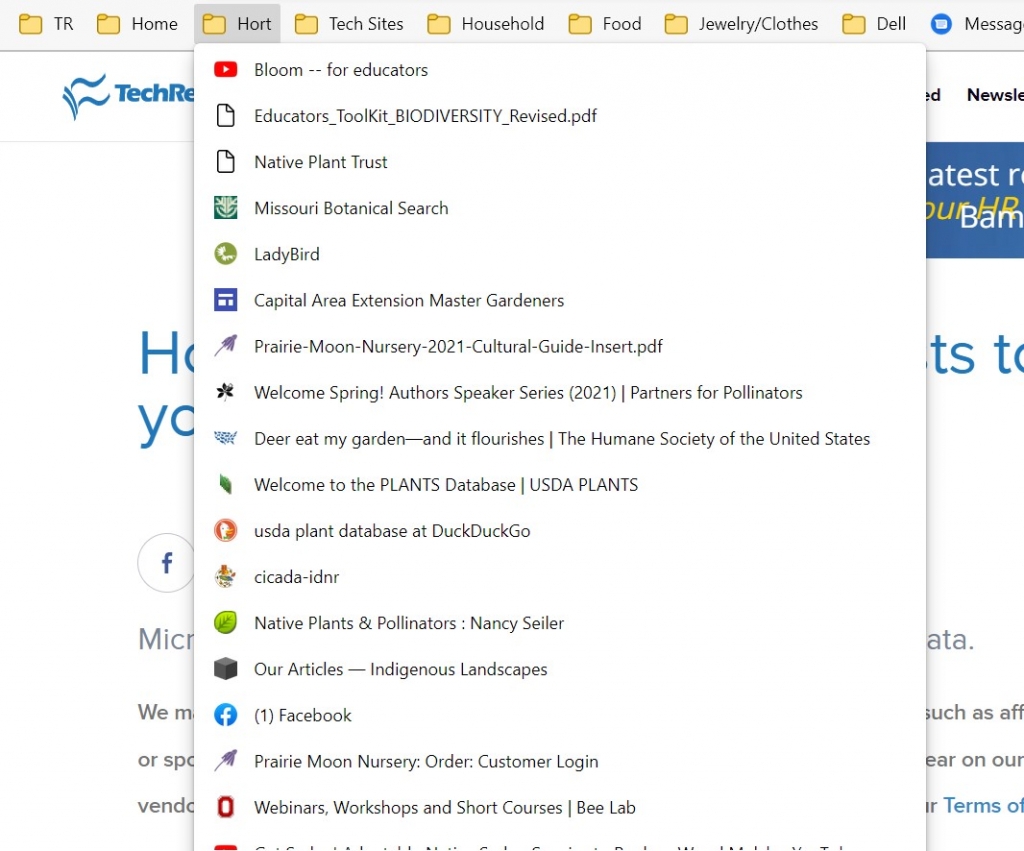 How to the Favorites bar with Microsoft Edge Collections