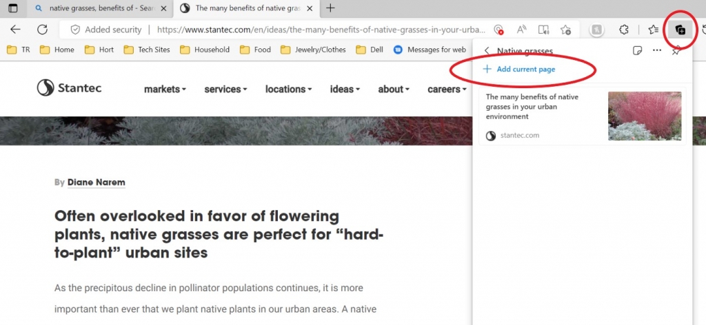 How to the Favorites bar with Microsoft Edge Collections