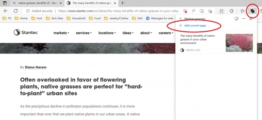 How to the Favorites bar with Microsoft Edge Collections