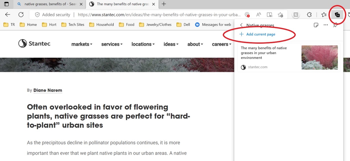 How to the Favorites bar with Microsoft Edge Collections