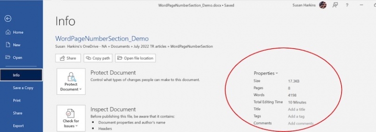 How to use page-numbering fields in Microsoft Word - TechRepublic