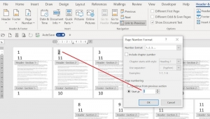 How to use page-numbering fields in Microsoft Word - TechRepublic