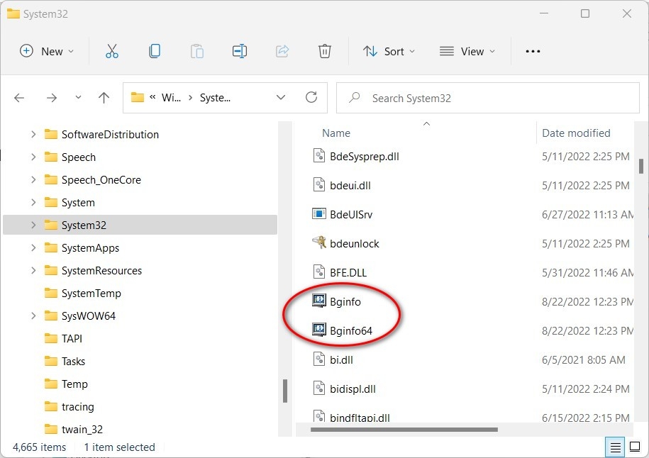 如何使用 BgInfo 显示更新的 Windows 11 系统信息 - Flnug.com