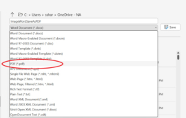 How to Convert an Image Into Editable Text Using Microsoft Word and Adobe