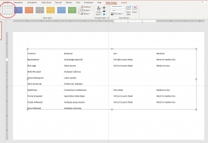 Apply Simple Table Formatting in Microsoft PowerPoint | TechRepublic