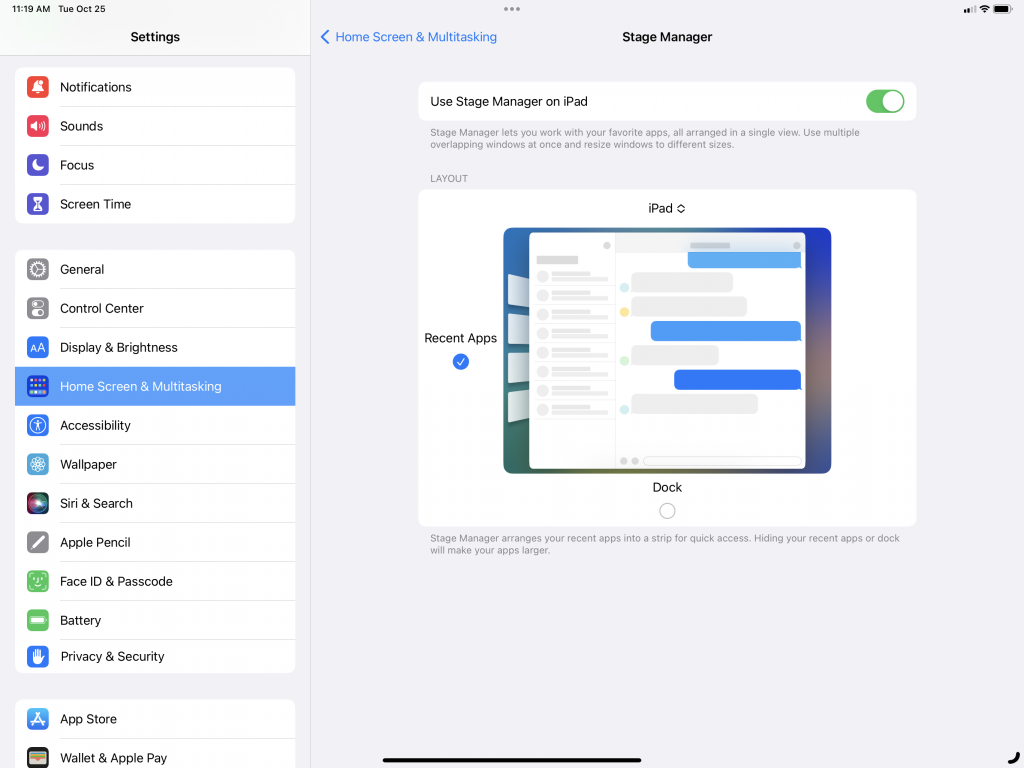Using multiple windows with Stage Manager in iPadOS 16
