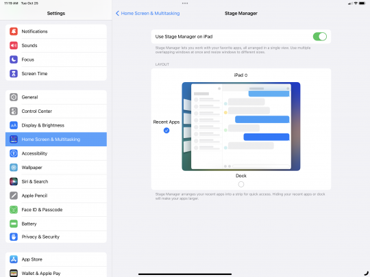 Using multiple windows with Stage Manager in iPadOS 16