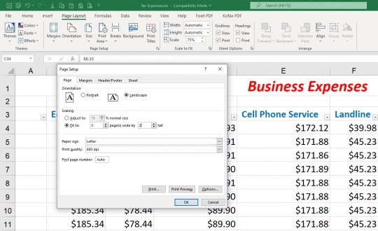 How to Print From Microsoft Excel and Avoid Printing Problems