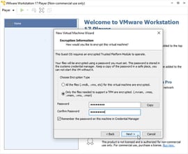 Create a Windows 11 virtual machine with VMware Workstation Player