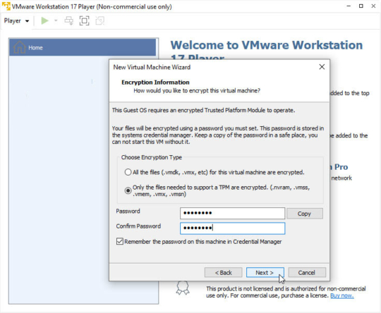Create a Windows 11 virtual machine with VMware Workstation Player