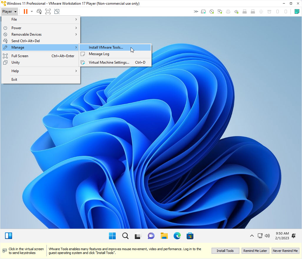 Create a Windows 11 virtual machine with VMware Workstation Player