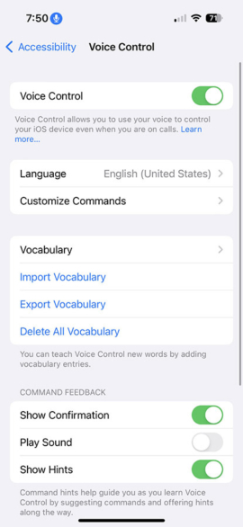 How to use iOS 16's voice recognition and dictation