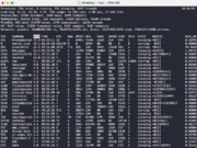 20 Mac Terminal Commands Every User Should Know