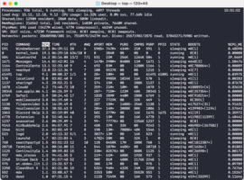 20 Mac Terminal Commands Every User Should Know