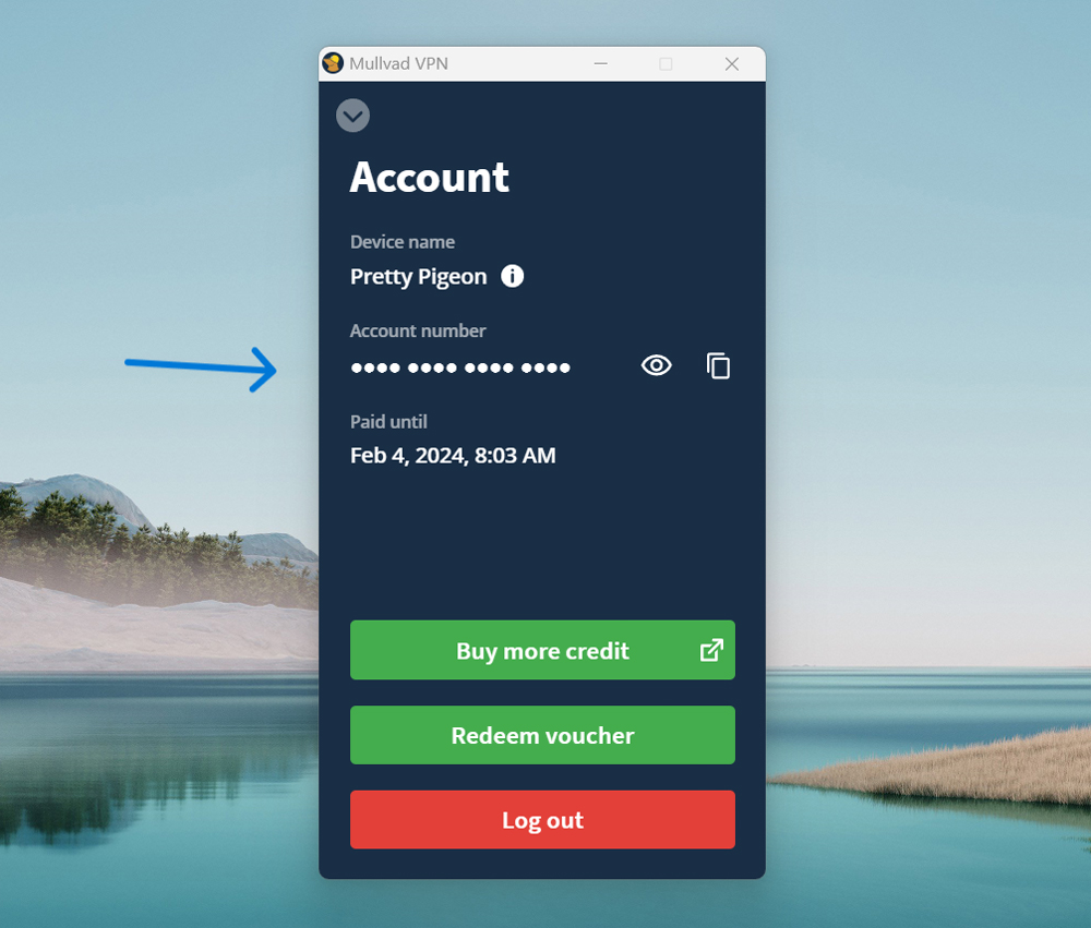 Mullvad VPN Review: Features, Pricing, Pros & Cons