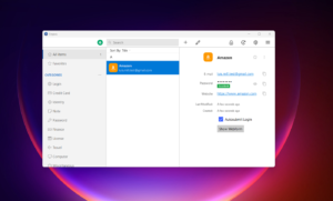 如何使用 Enpass：初学者分步指南 - Flnug.com