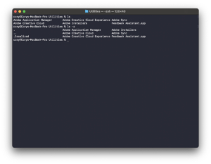 Basic Terminal Commands: Navigating the macOS Directory Structure